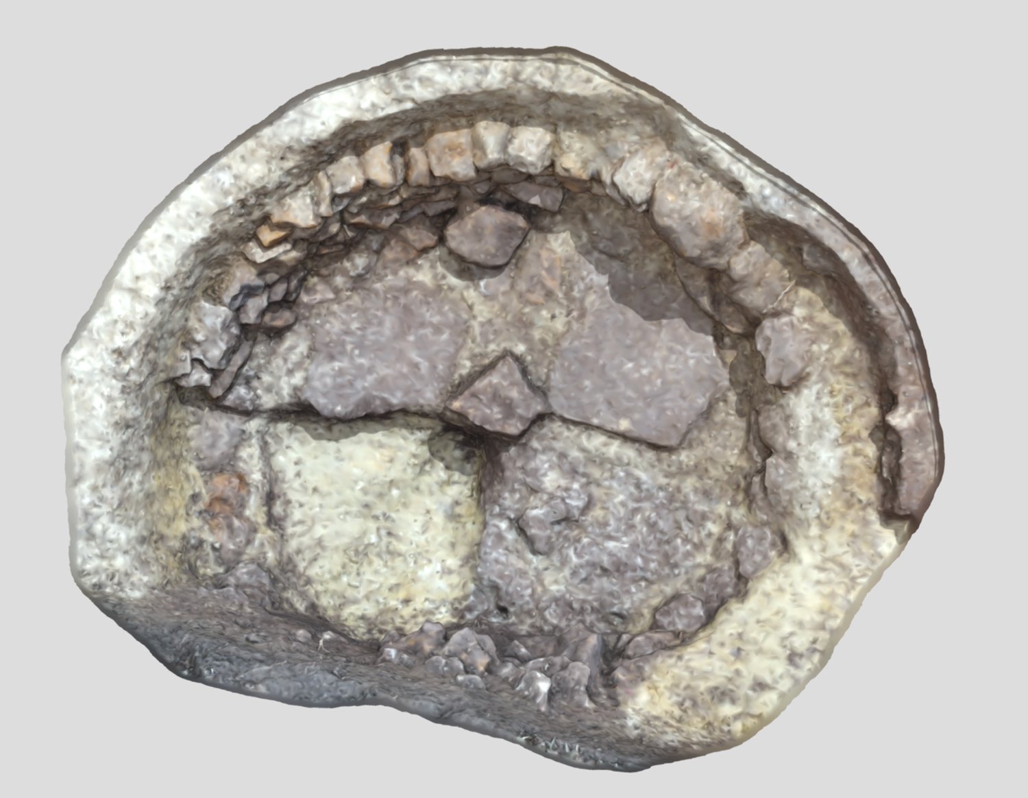 Photogrammetry — Border Archaeology